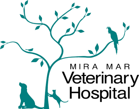 A new logo for Mira Mar Vets! - Mira Mar Veterinary Hospital